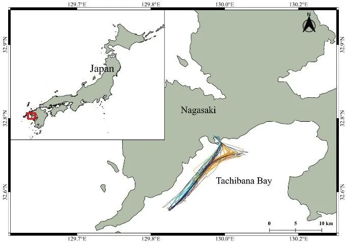 Trapped twice: Discovering the impact of marine benthic plastic debris ...